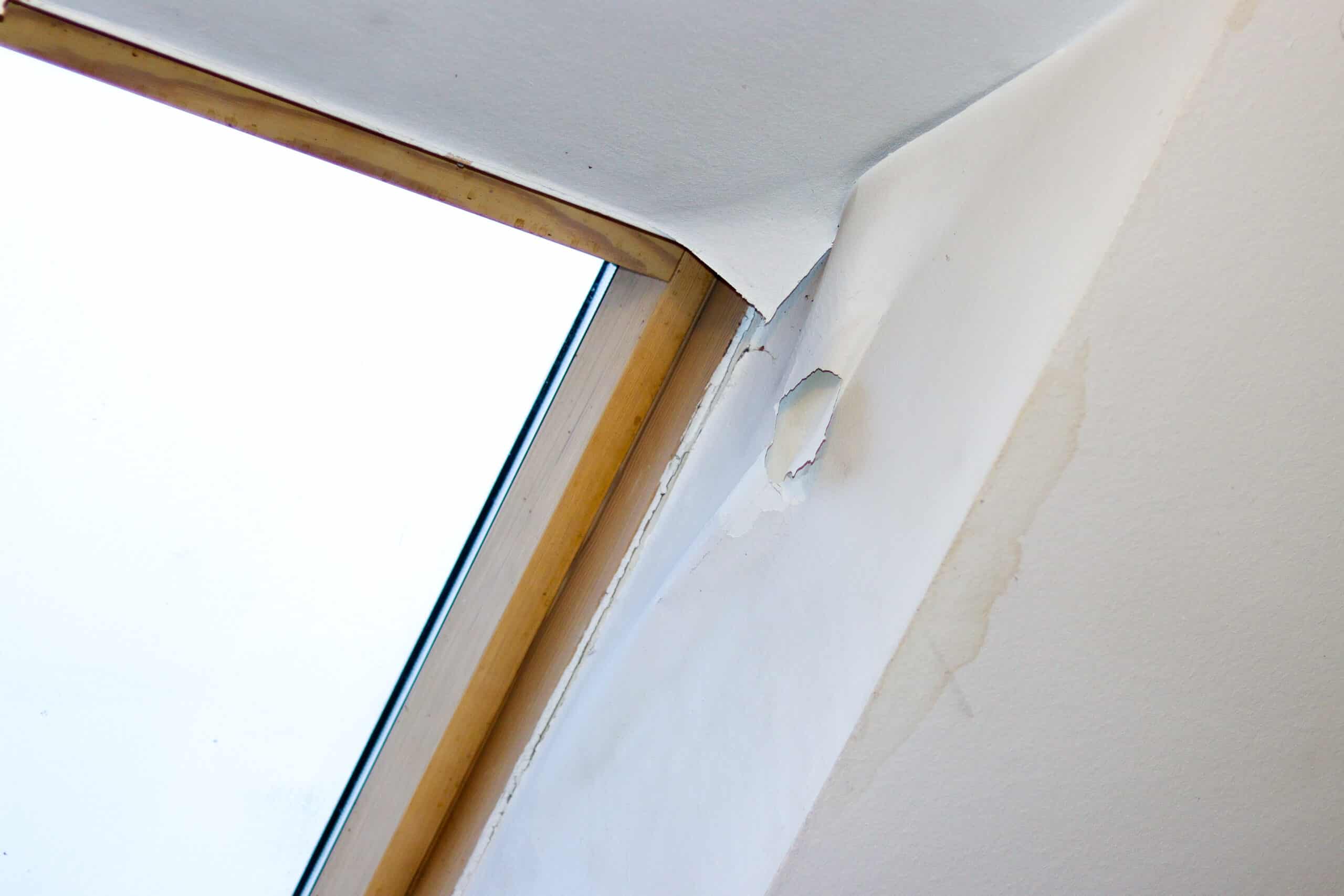 The 3 Most Common Causes of Wall Damage in Your Home - PM Home Services